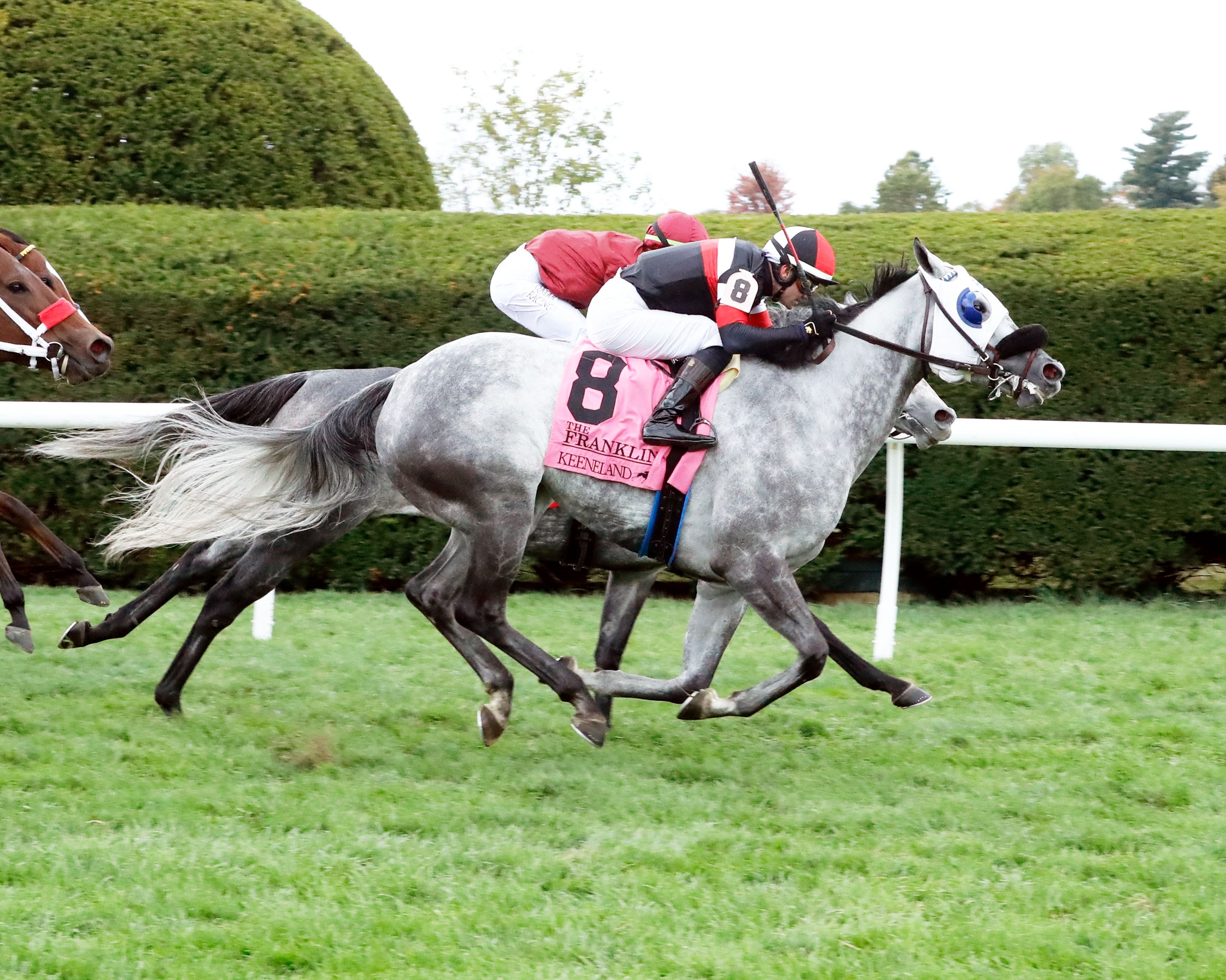 Tony Ann outruns Caravel in Franklin Stakes